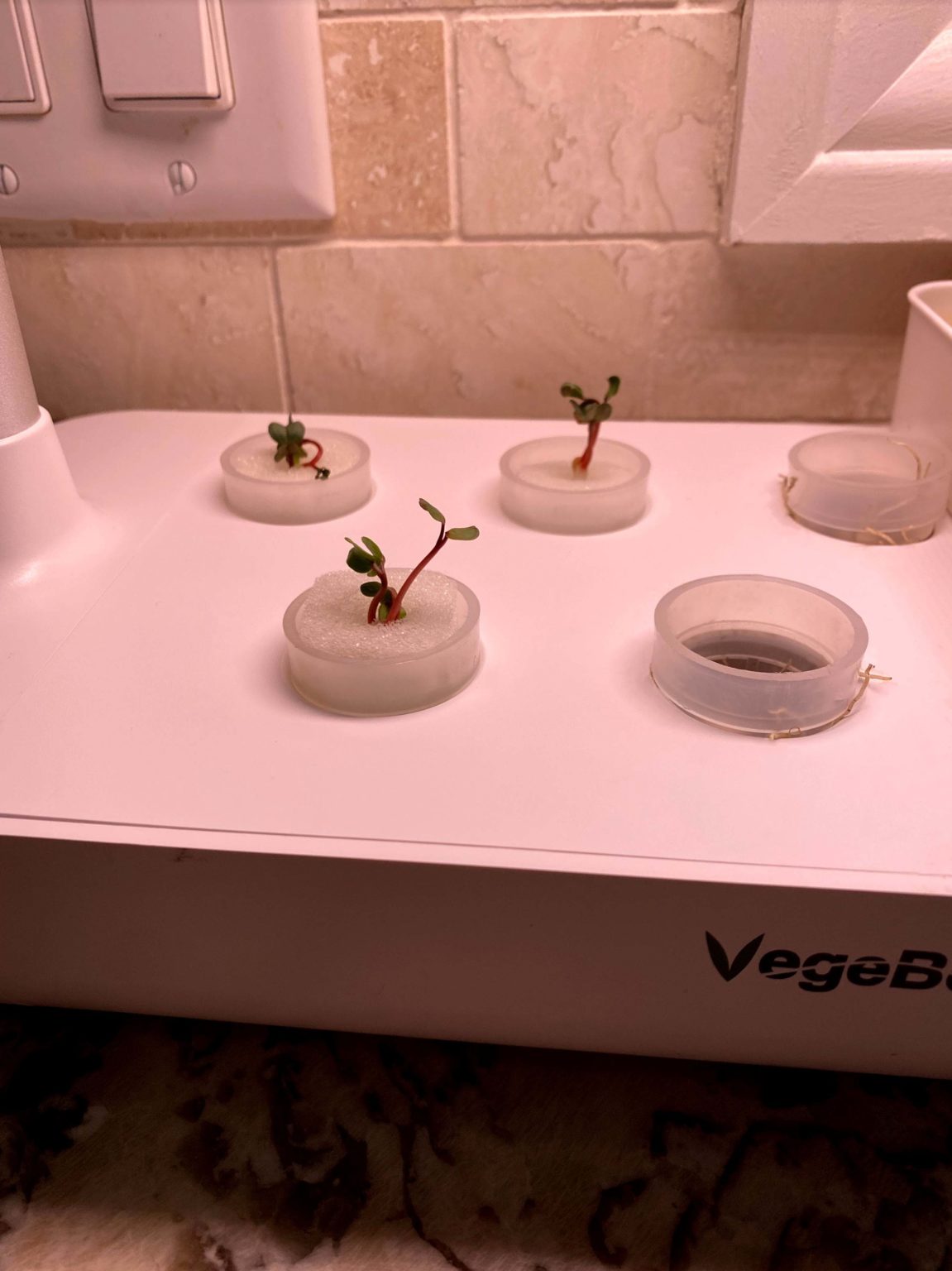 Growing Hydroponic Radishes - Aeroponics Vs Hydroponics