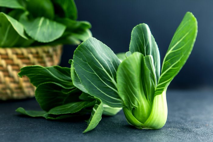 How To Grow Bok Choy With Hydroponics